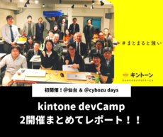 developer | kintone hive online